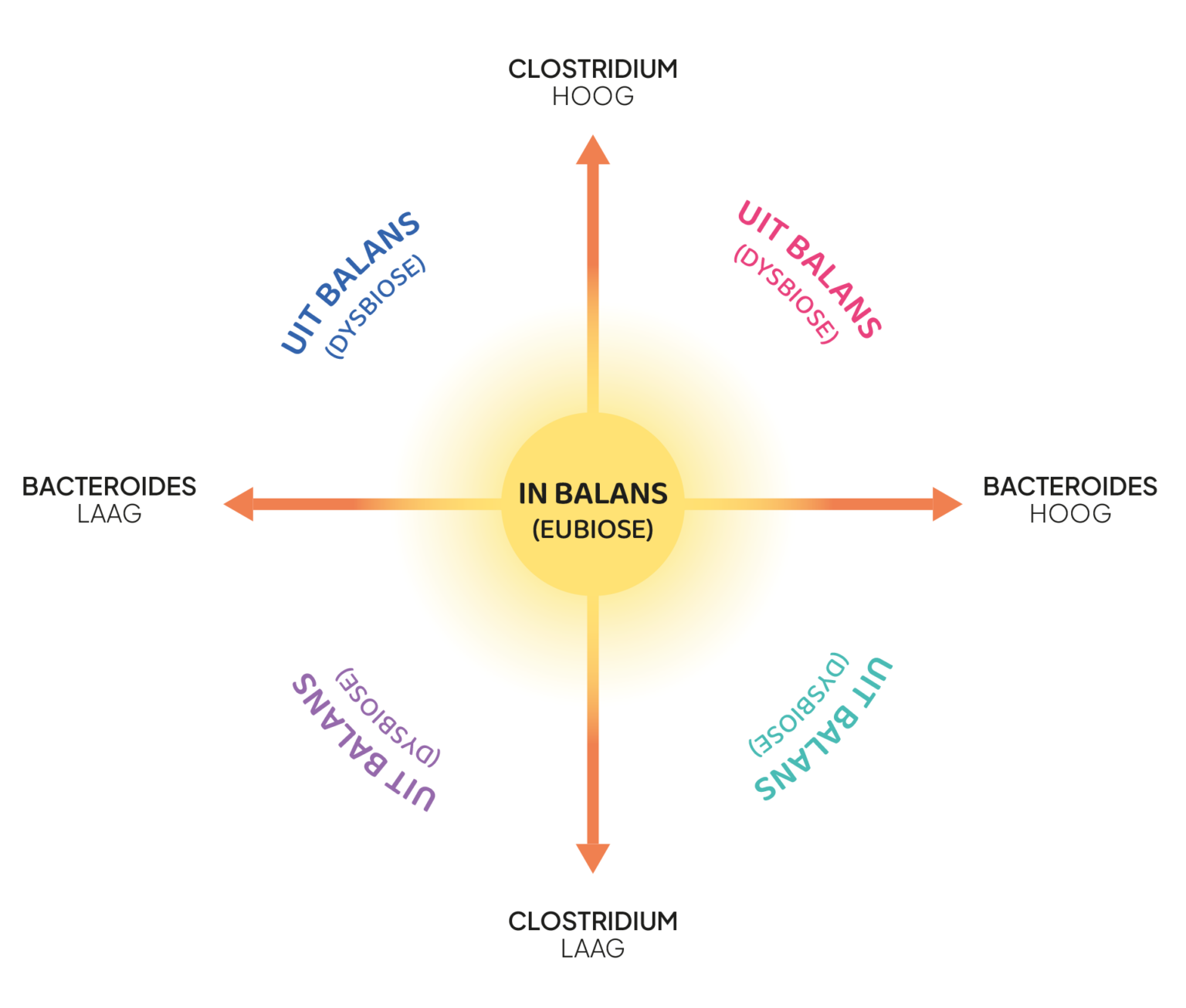 Ons verbeterde model voor dysbiose van het darmmicrobioom - NL-Lab
