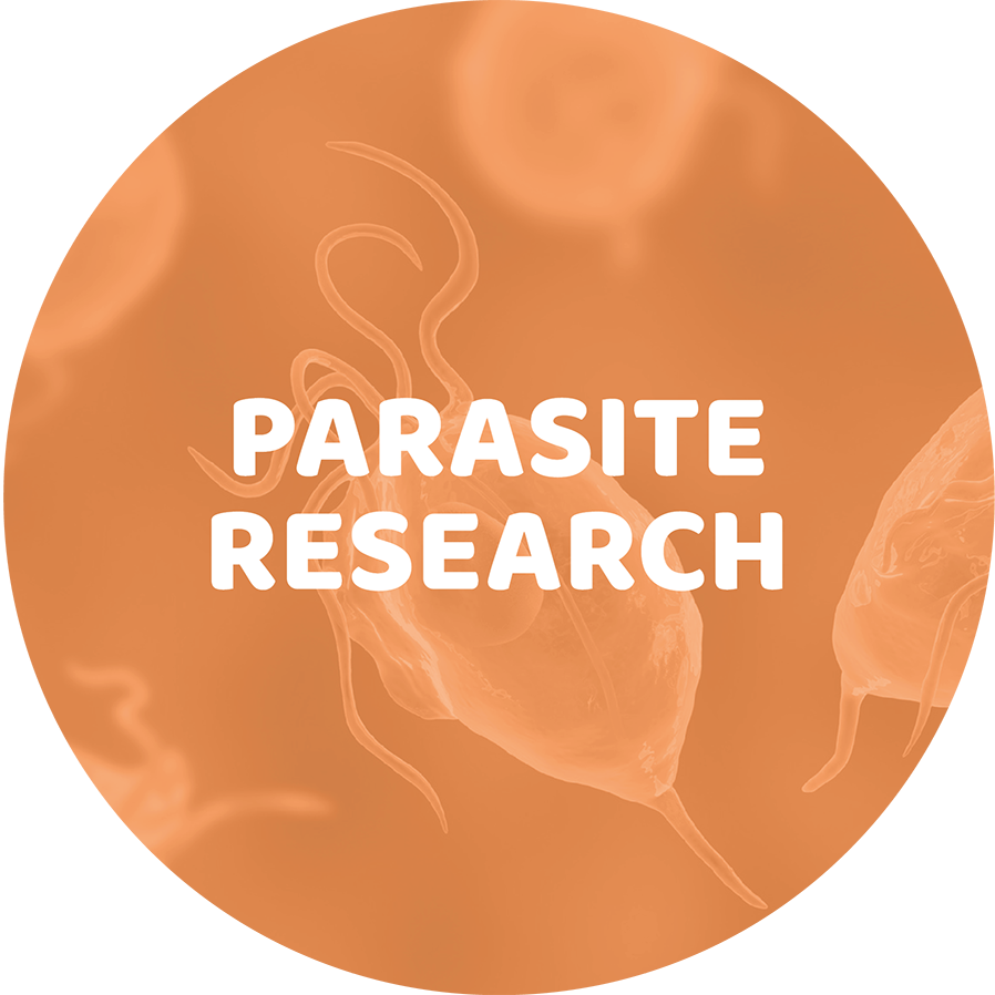 Extensive parasite research - NL Lab