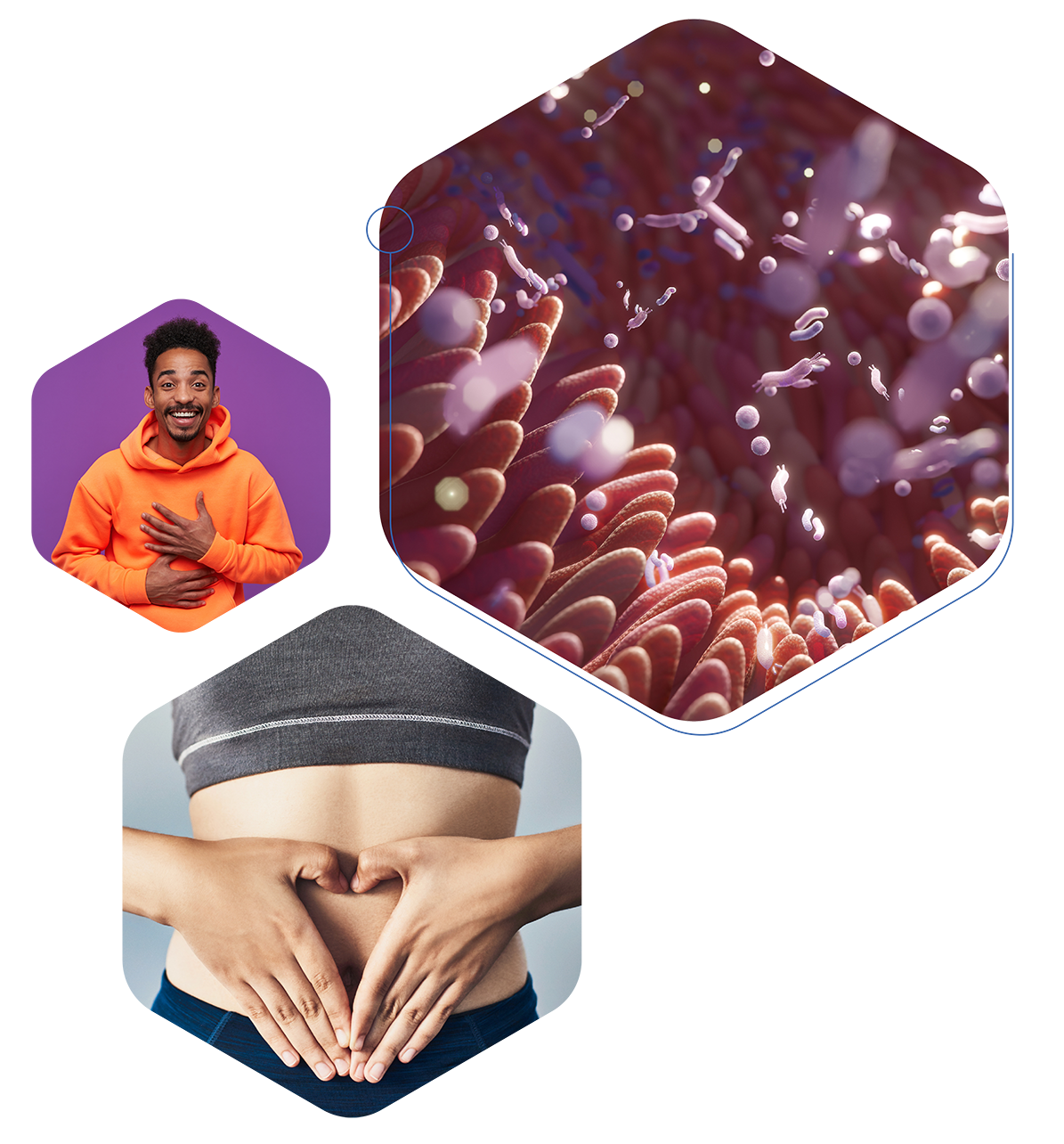 Darmmicrobioom - NL-Lab